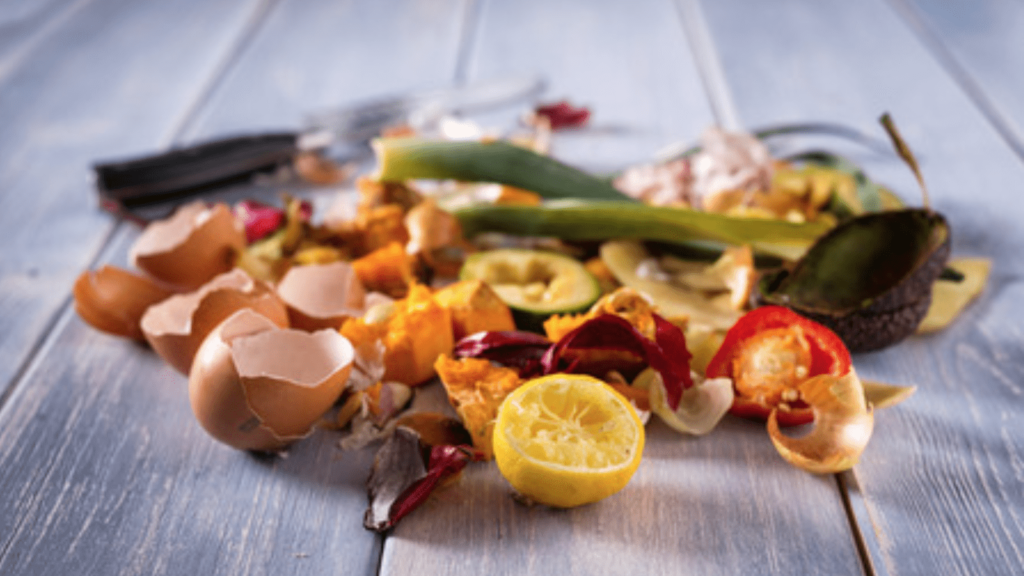 What is biowaste? - Greenoffice